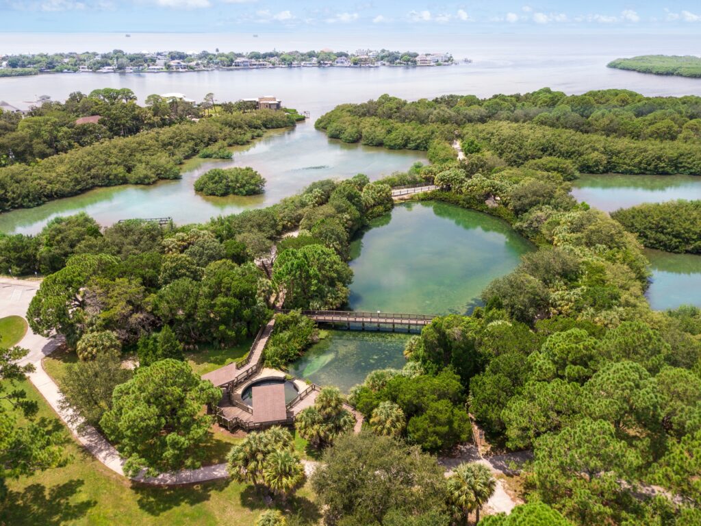 Model Shoreline Ordinance Template - Tampa Bay Regional Planning Council