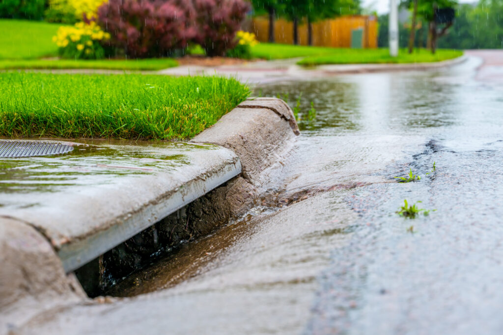 Stormwater Stewardship Month – A Regional Campaign Around Tampa Bay ...